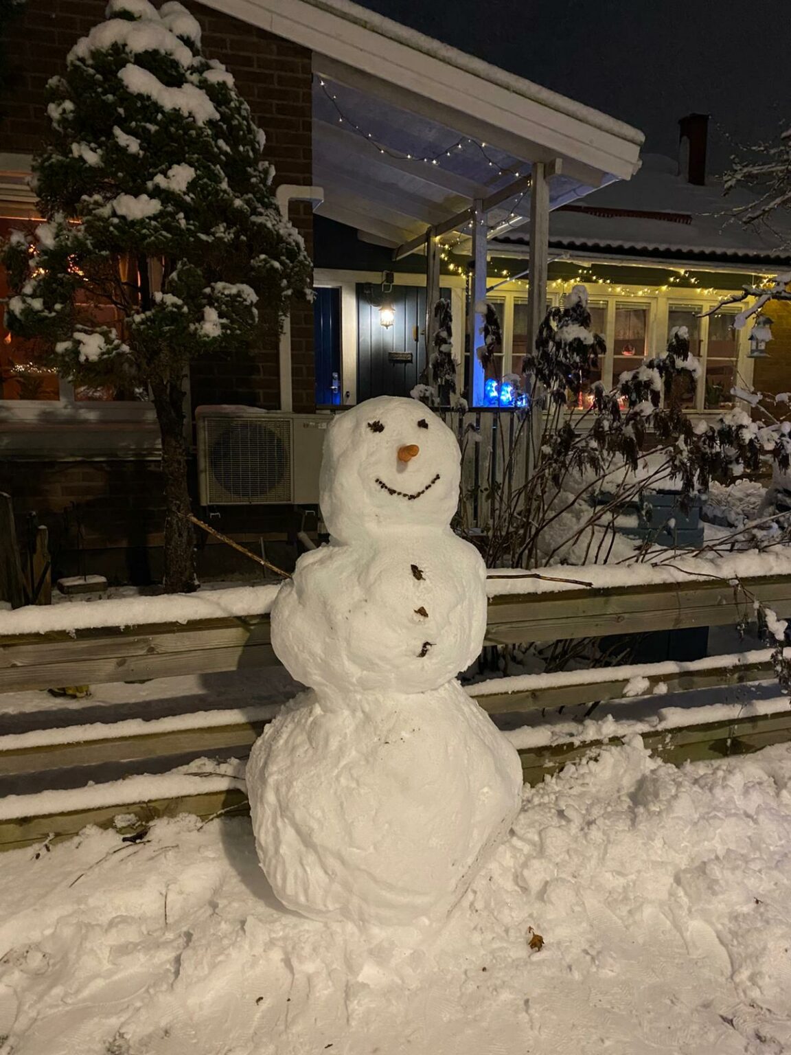 Herregud vad det snöar! – Carola Wetterholm – Familjen Annorlunda