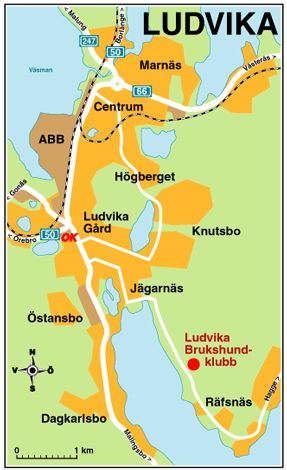 Ludvika brukshundklubb